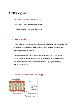 Anatomi of fysiologi spm - Celler og vev Tegn en menneskecelle og sett navn på minst 5 ...