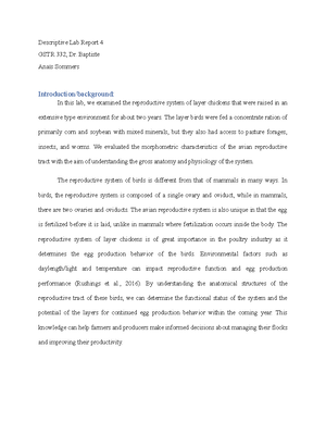 Ws 10.5 A - Name t;'! furLr^ = &.Zfqo ,) 0 o /rlrrl r.! , u^, Eto*Aat ...