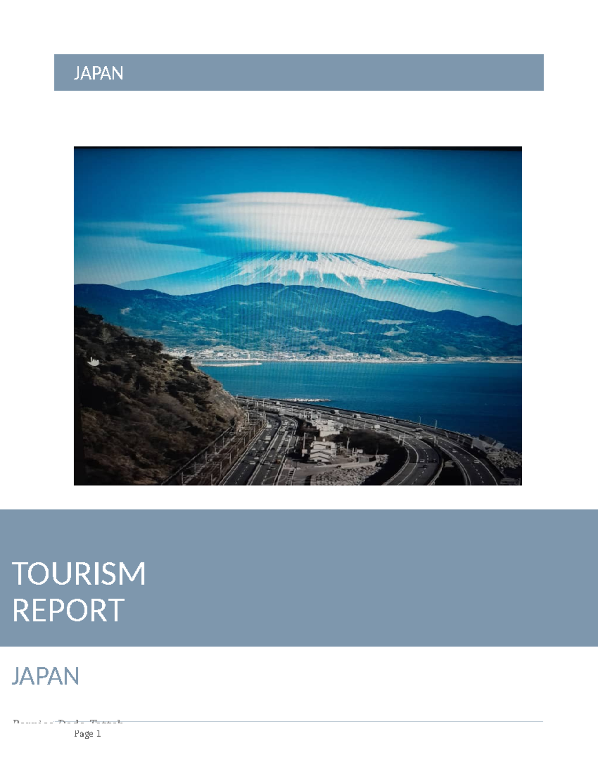 Tourism Report Template - TOURISM REPORT JAPAN Bernice Dede Tetteh ...