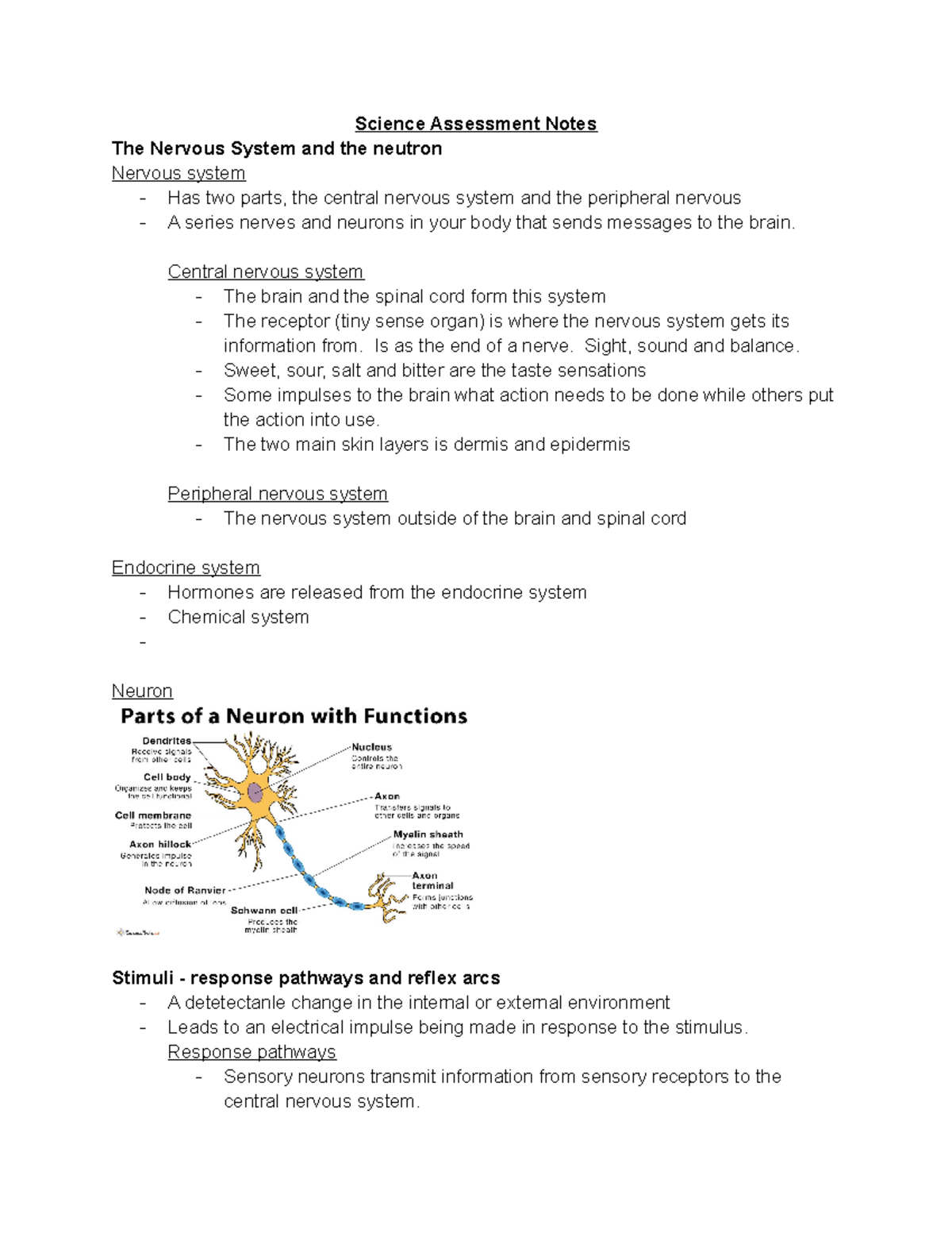Science Assessment Study Notes - Science Assessment Notes The Nervous ...