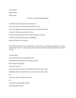 One Piece Research Paper - Marx, Nietzsche, and Freud in One Piece ...