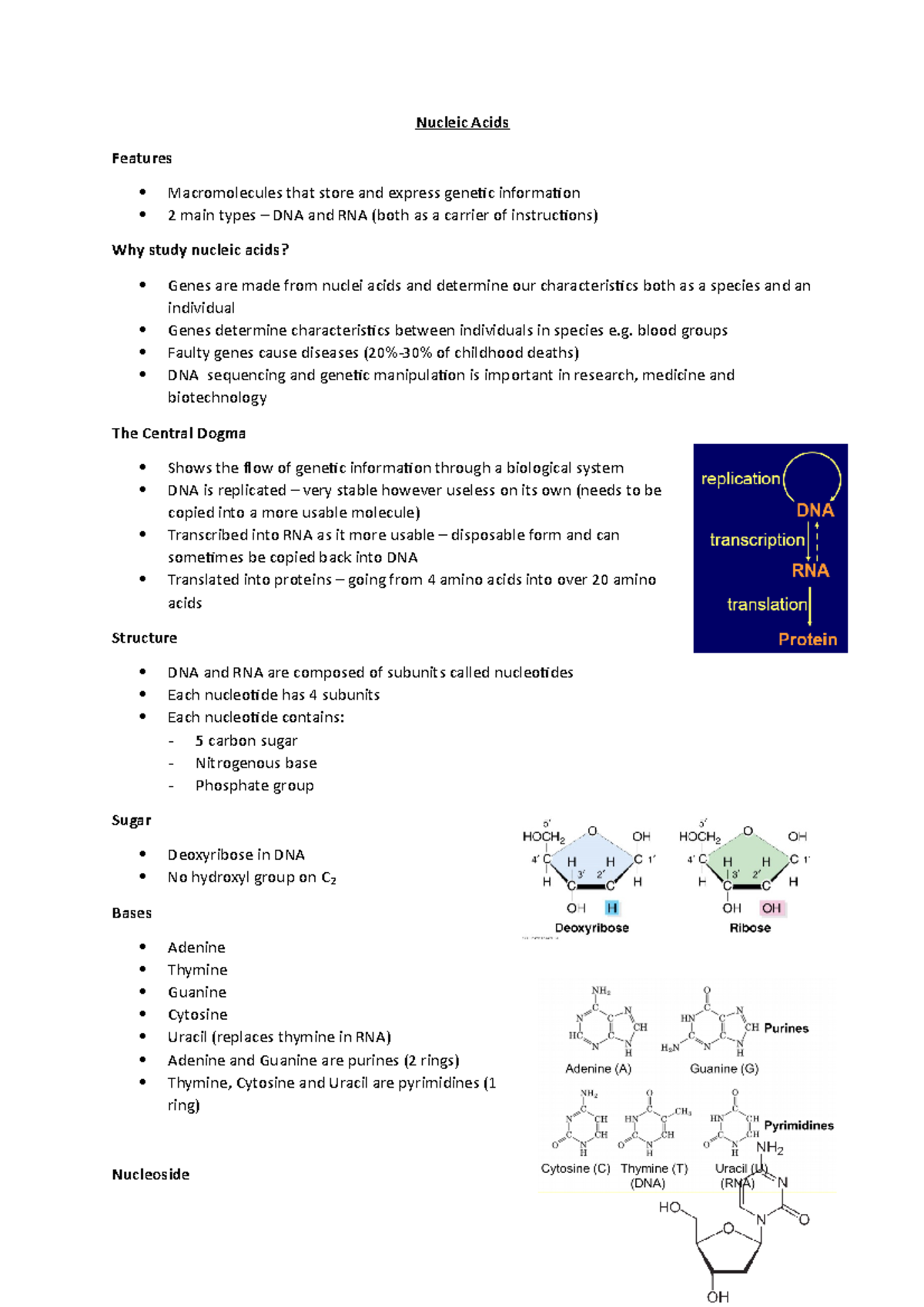 Nucleic Acids - Lecture notes 1 - Nucleic Acids Features Macromolecules ...