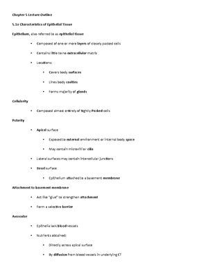 Chapter 1, Anat Phys - Notes from Professor Lea Carlson's class ...