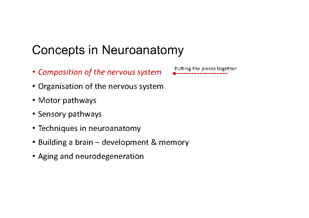 L4 Composition of the NS corrected 2021 - Concepts in Neuroanatomy ...