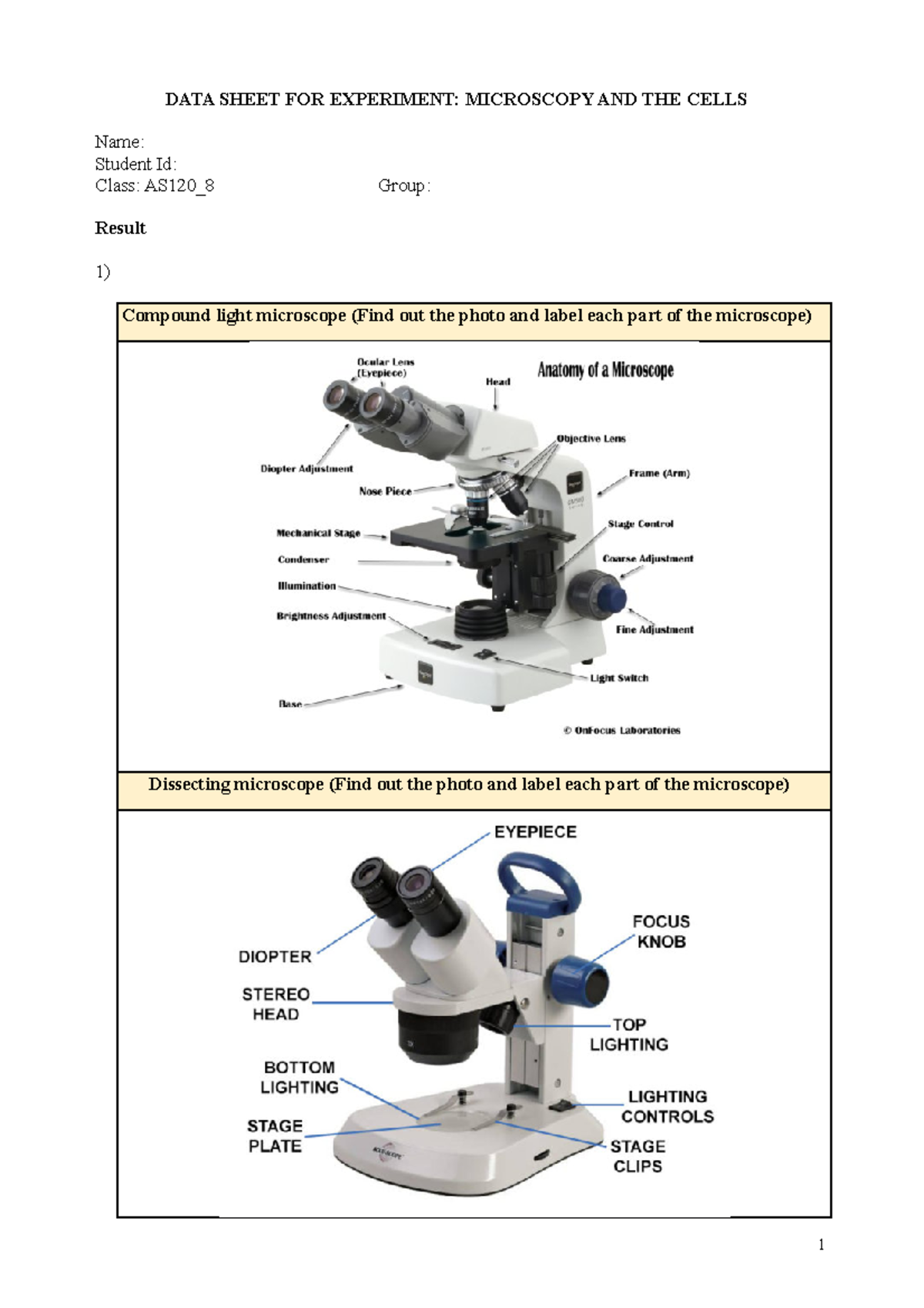Data sheet bio - 1 DATA SHEET FOR EXPERIMENT: MICROSCOPY AND THE CELLS ...