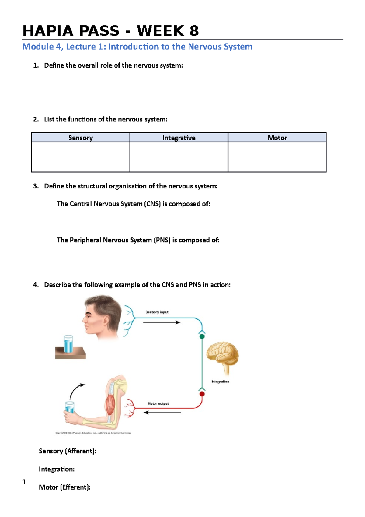 Week 8 - PASS Worksheet - : Introduction to the Nervous System - HAPIA ...