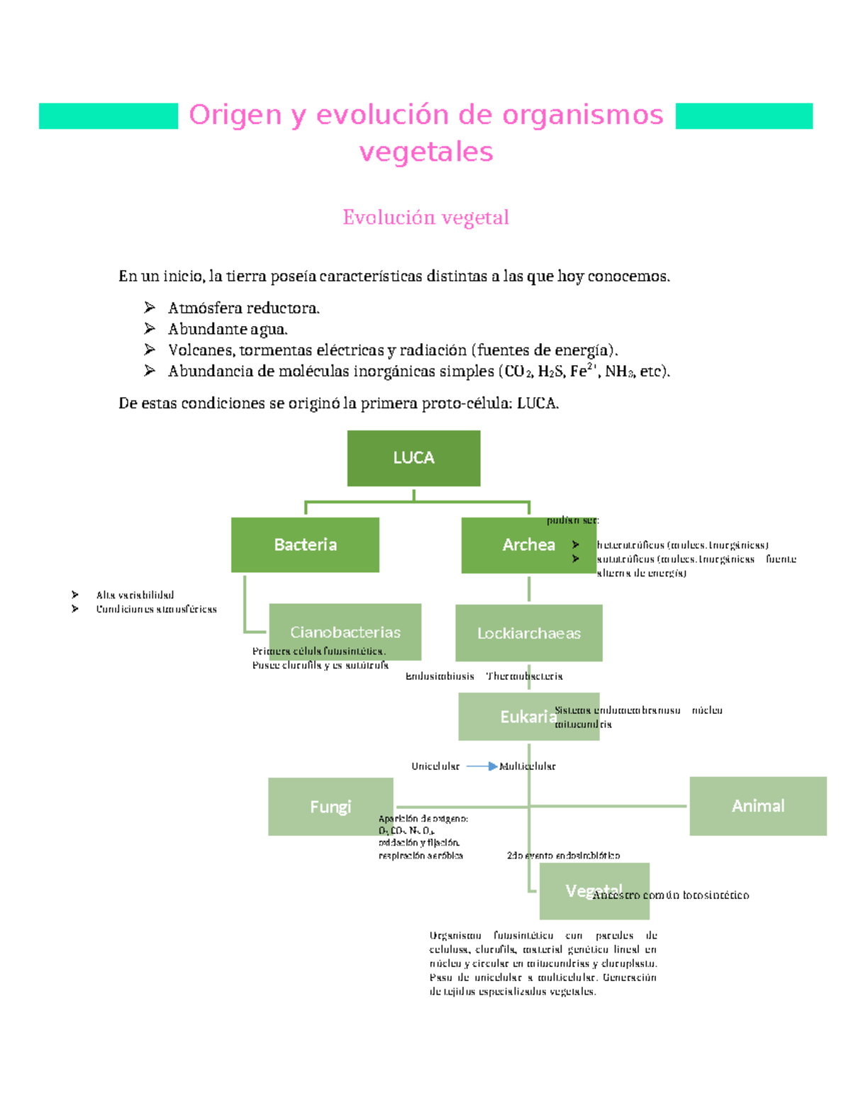 Certamen 2 - Evolución Vegetal - LUCA Bacteria Cianobacterias Archea ...