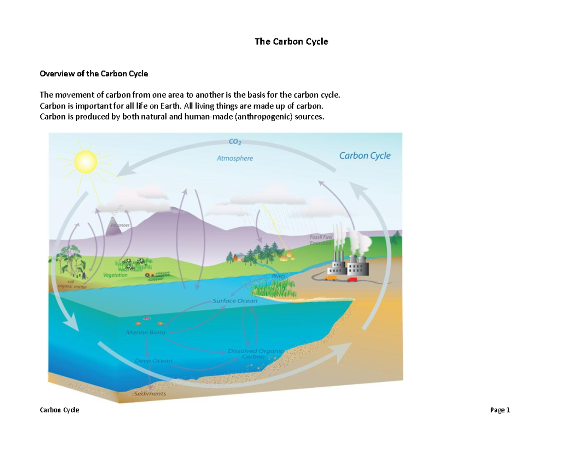 Carbon Cycle Print Version - The Carbon Cycle Overview of the Carbon ...