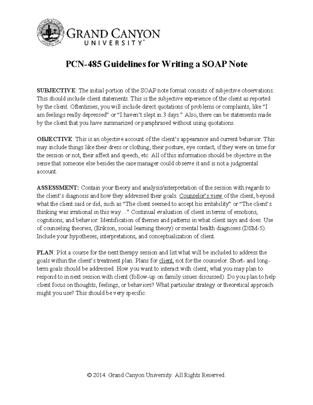 PCN 485 RS Guidelinesfor Writinga Soapnote - PCN-485 Guidelines for Writing a SOAP Note ...