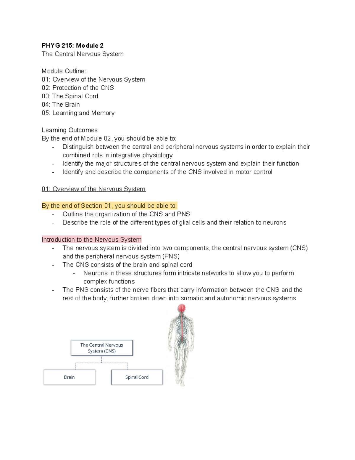 PHGY 215 Module 2 - PHYG 215: Module 2 The Central Nervous System ...