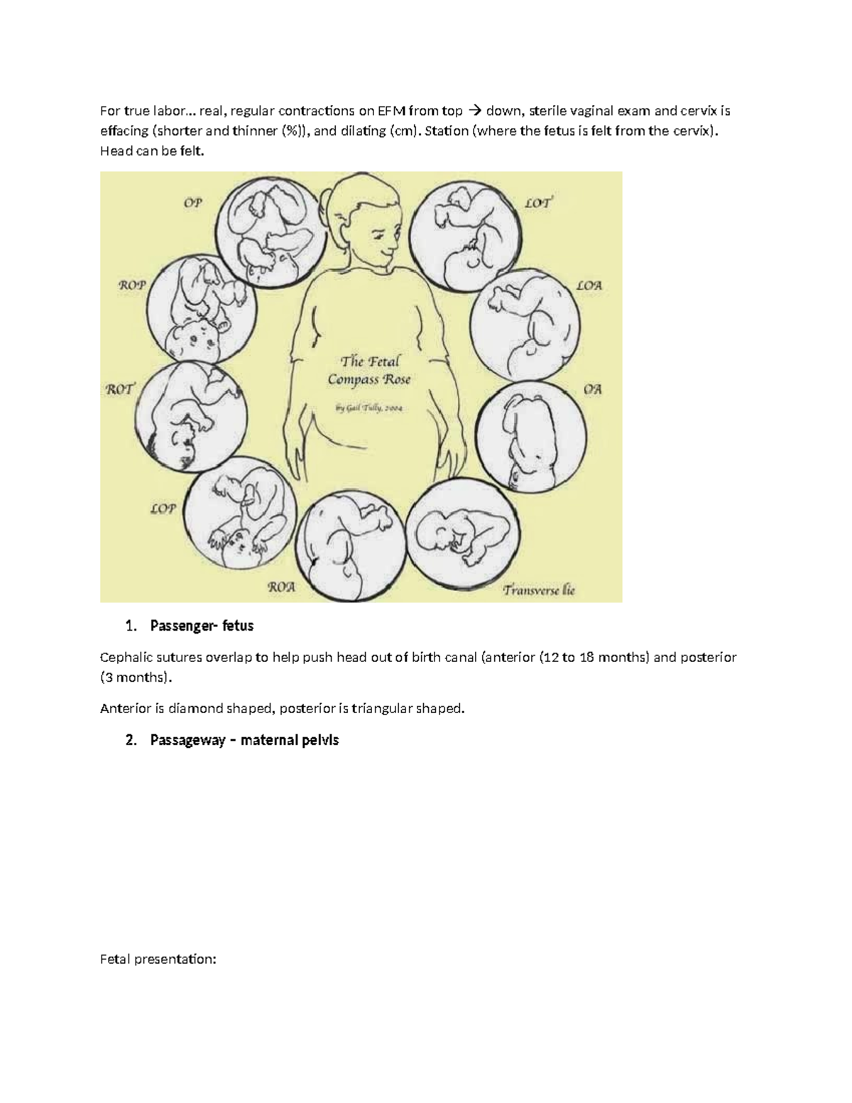 Labor and Childbirth Notes - For true labor... real, regular ...