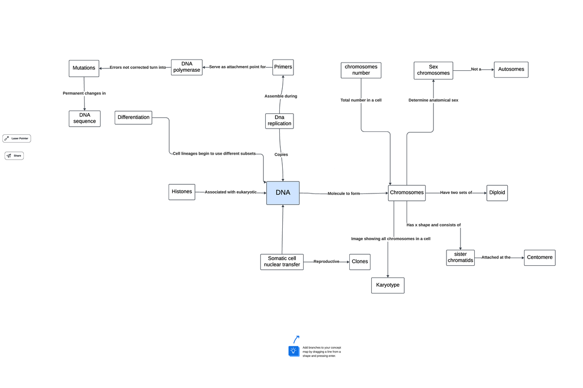Concept map - Add branches to your concept map by dragging a line from ...