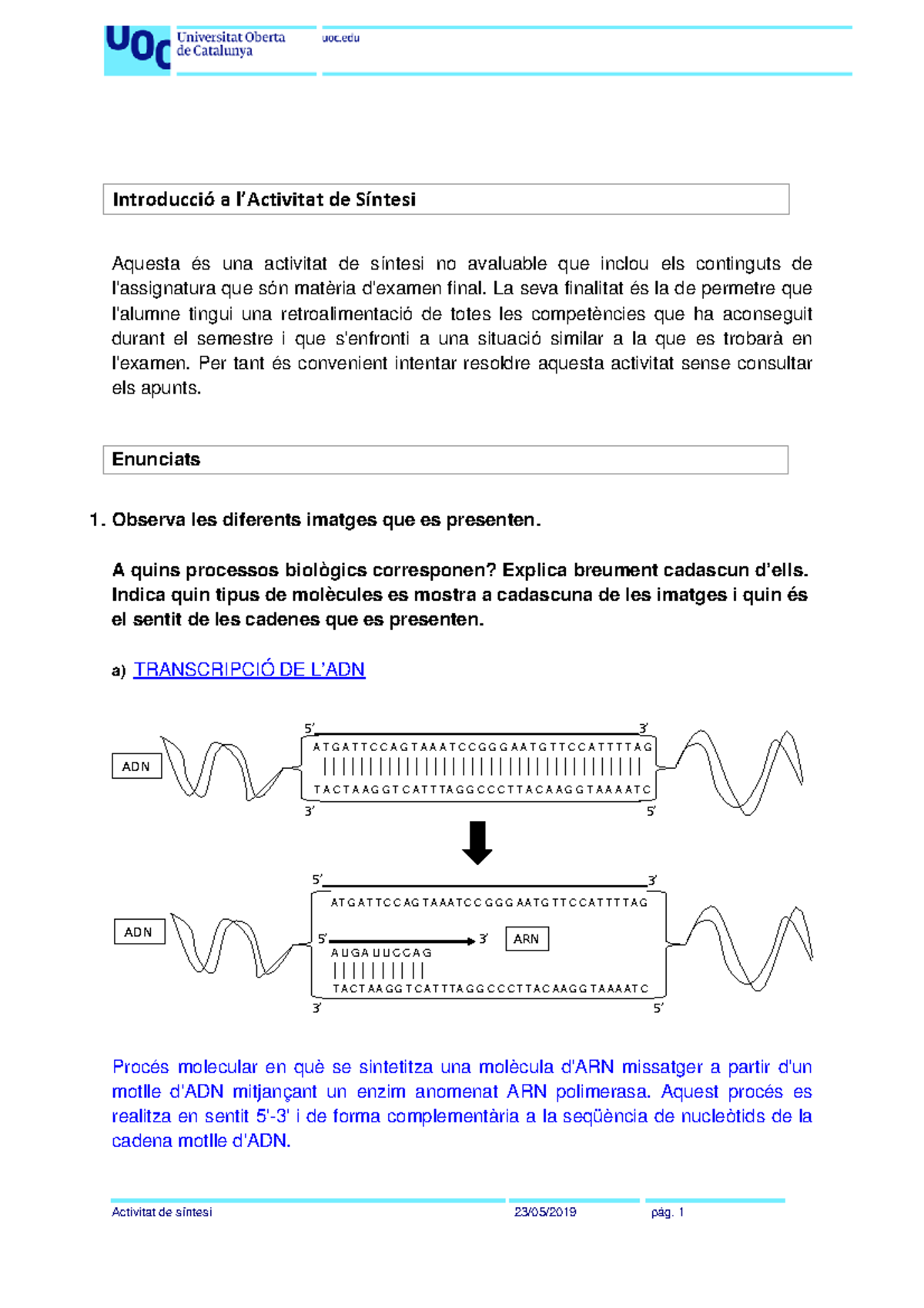 Pac Sintesi Cat Solucions Warning Tt Undefined Function 32 A T G A T T C C A G T A A A T C 7602
