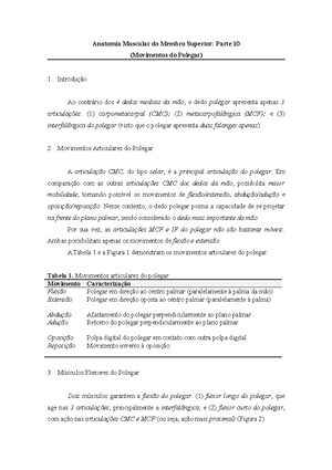 Anatomia do Funículo Espermático - Anatomia do Sistema Reprodutor ...