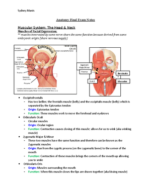 Week 11 Trunk muscles - Anatomy notes - Spine and Back Thoracic Cage ...