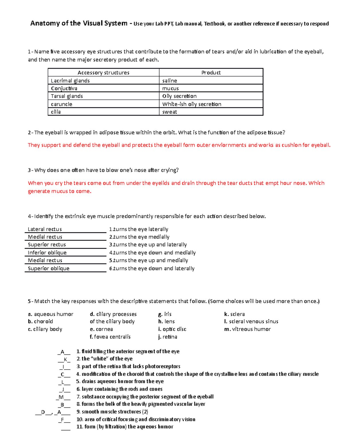 1a Anatomy of the Visual System - Accessory structures Product Lacrimal ...