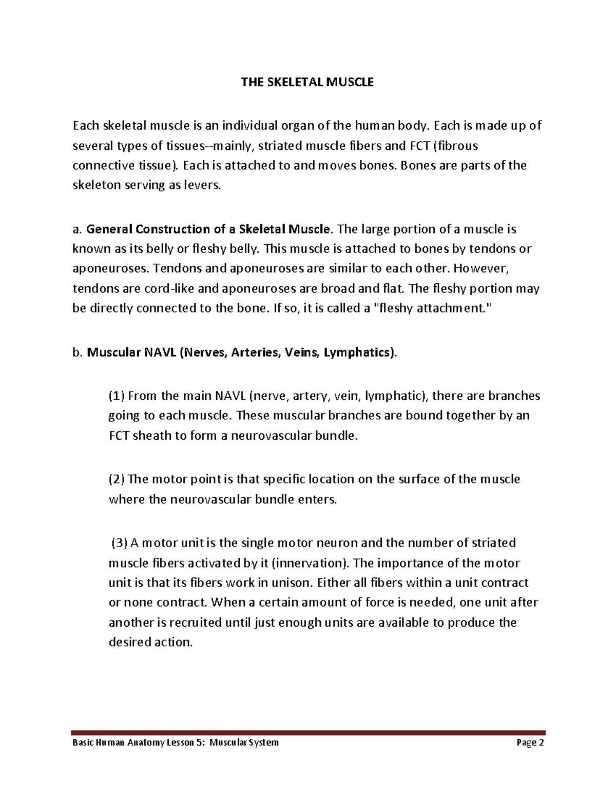 Anatomy 5 Lecture Notes - THE SKELETAL MUSCLE Each skeletal muscle is ...