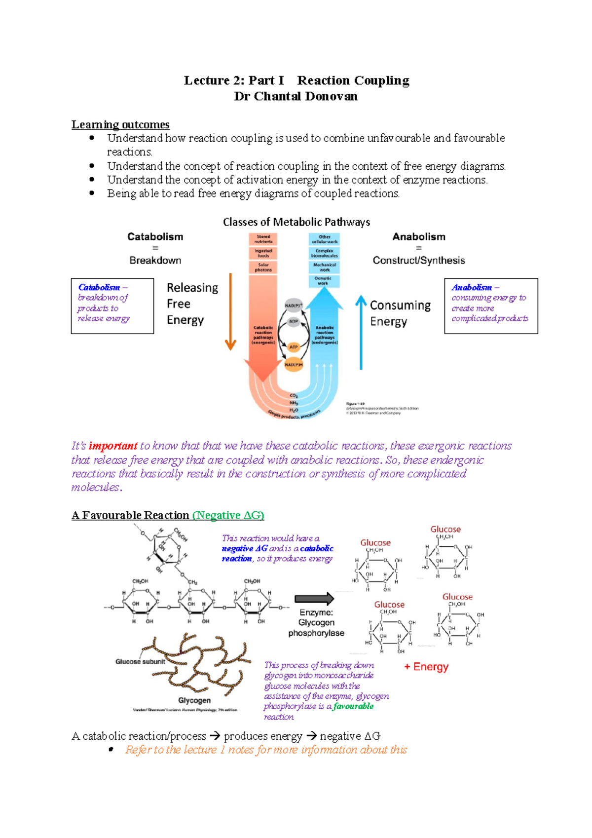 Metabolic Biochemistry Lecture 2 Notes - Lecture 2: Part I Reaction ...