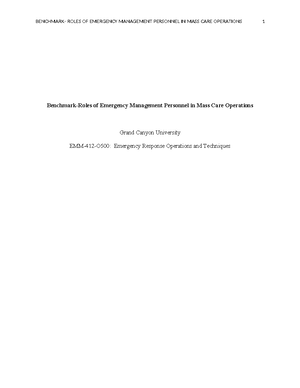 EMM-450 Critical Infrastructure Assessment Worksheet Munoz - EMM-450 ...