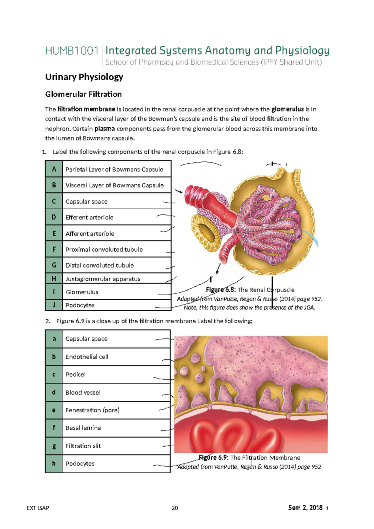 Module 6 physiology lab - HUMB1001 - Curtin - Studocu