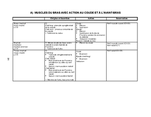 Tableau des muscles tête et cou - 1 A) MUSCLES DE LA NUQUE DU PLAN ...