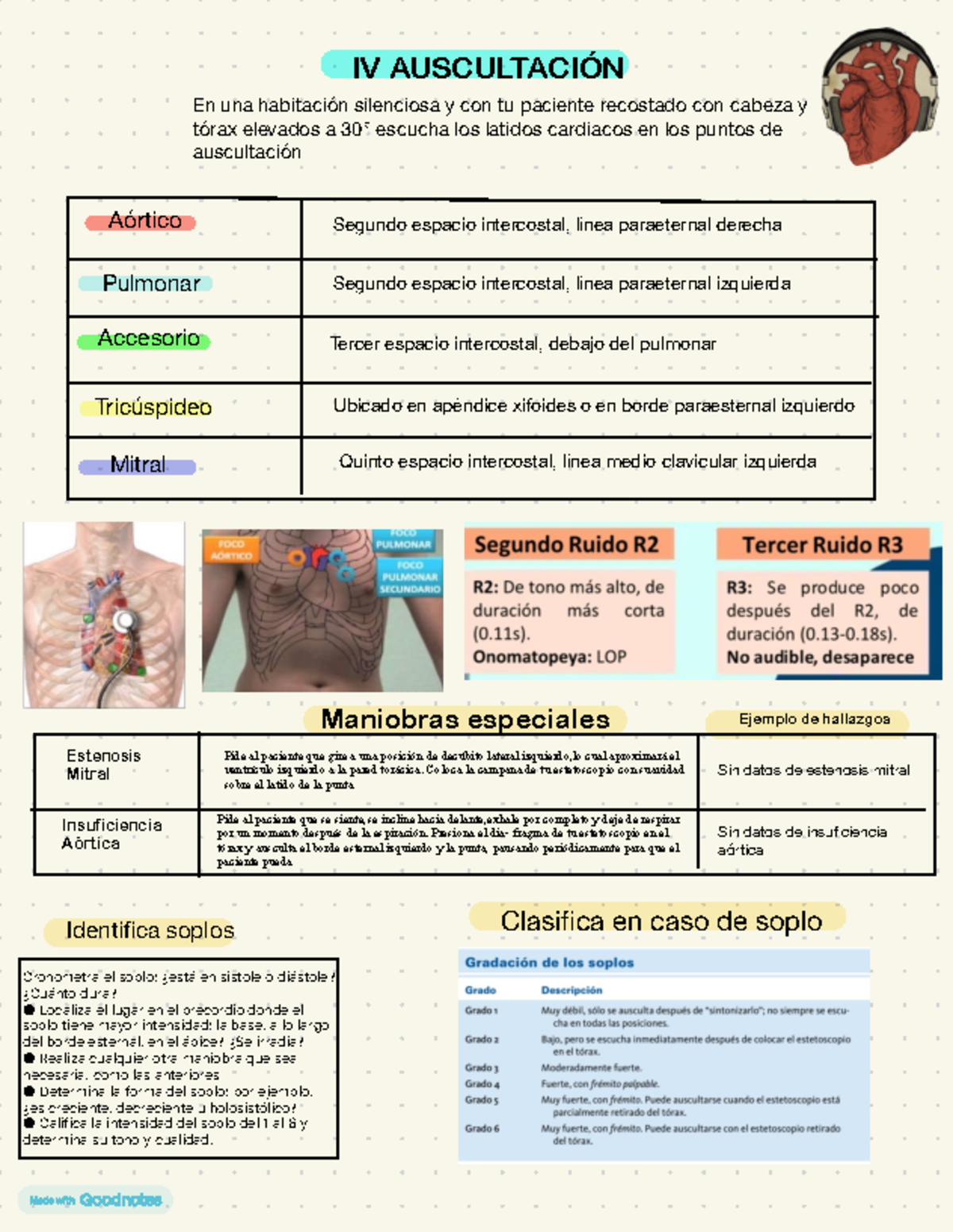 Exploración de tórax cardiaco - IV AUSCULTACIÓN En una habitación ...