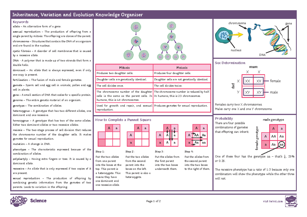 AQA Inheritance, Variation and Evolution Knowledge Organiser - C7141 ...