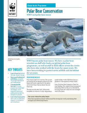 Behaviour of animals - BEAR AWARENESS Teacher Packet At the ABQ BioPark ...