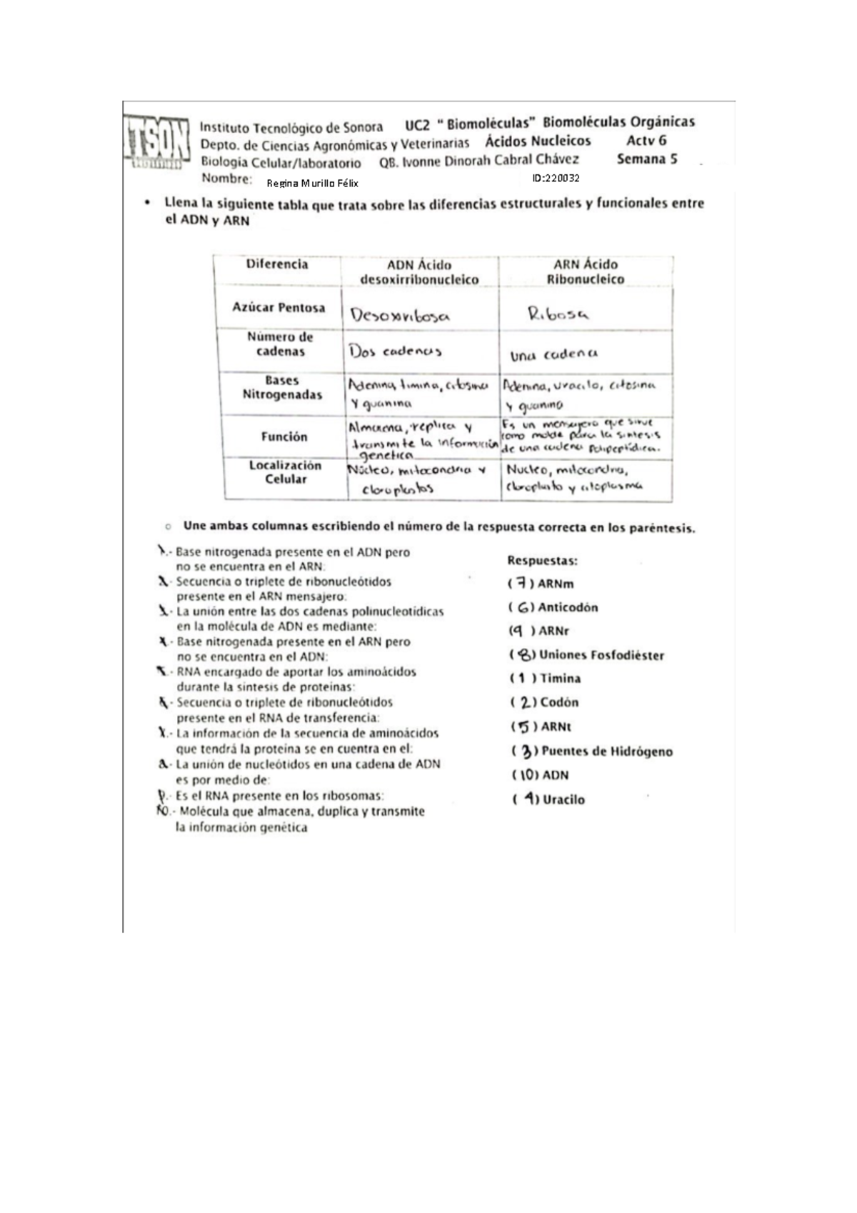 Acidos nucleicos act - BIOLOGÍA CELULAR - Regina Murillo Félix ID ...