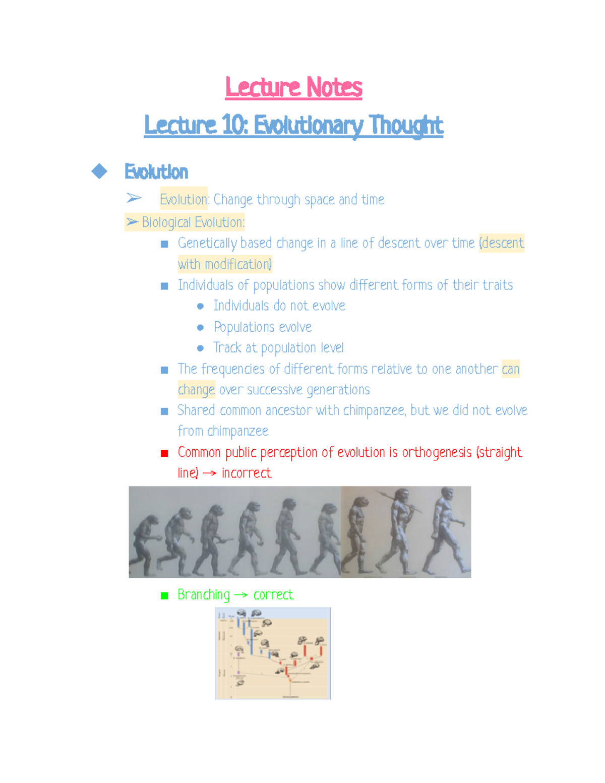 Evolution Notes - Thomas Even - Lecture Notes Lecture 10: Evolutionary ...