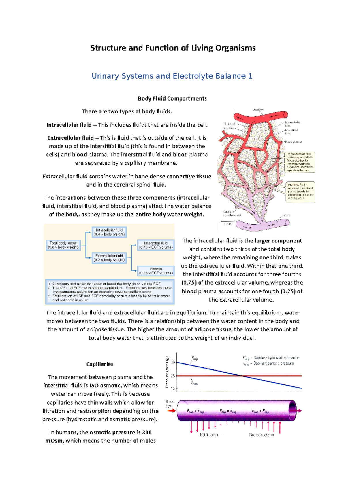 Urinary Systems and Electrolyte Balance - Structure and Function of ...