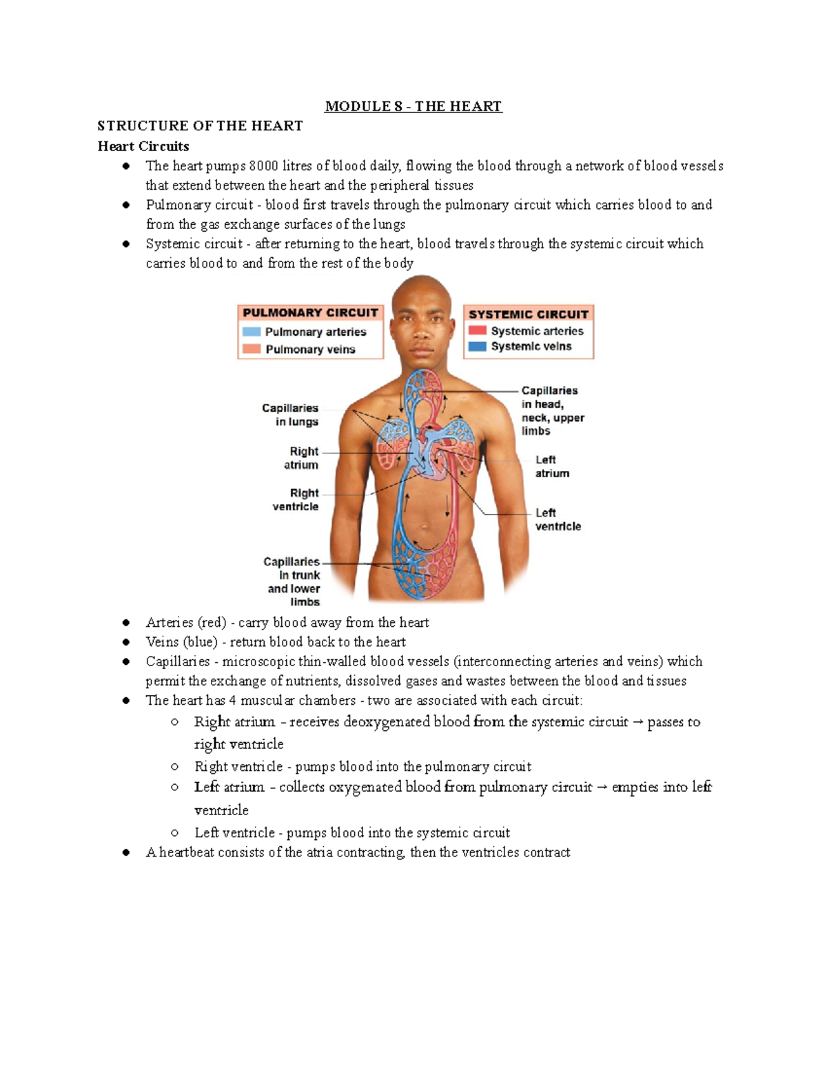 The Heart and Cardiovascular System - MODULE 8 THE HEART STRUCTURE OF ...