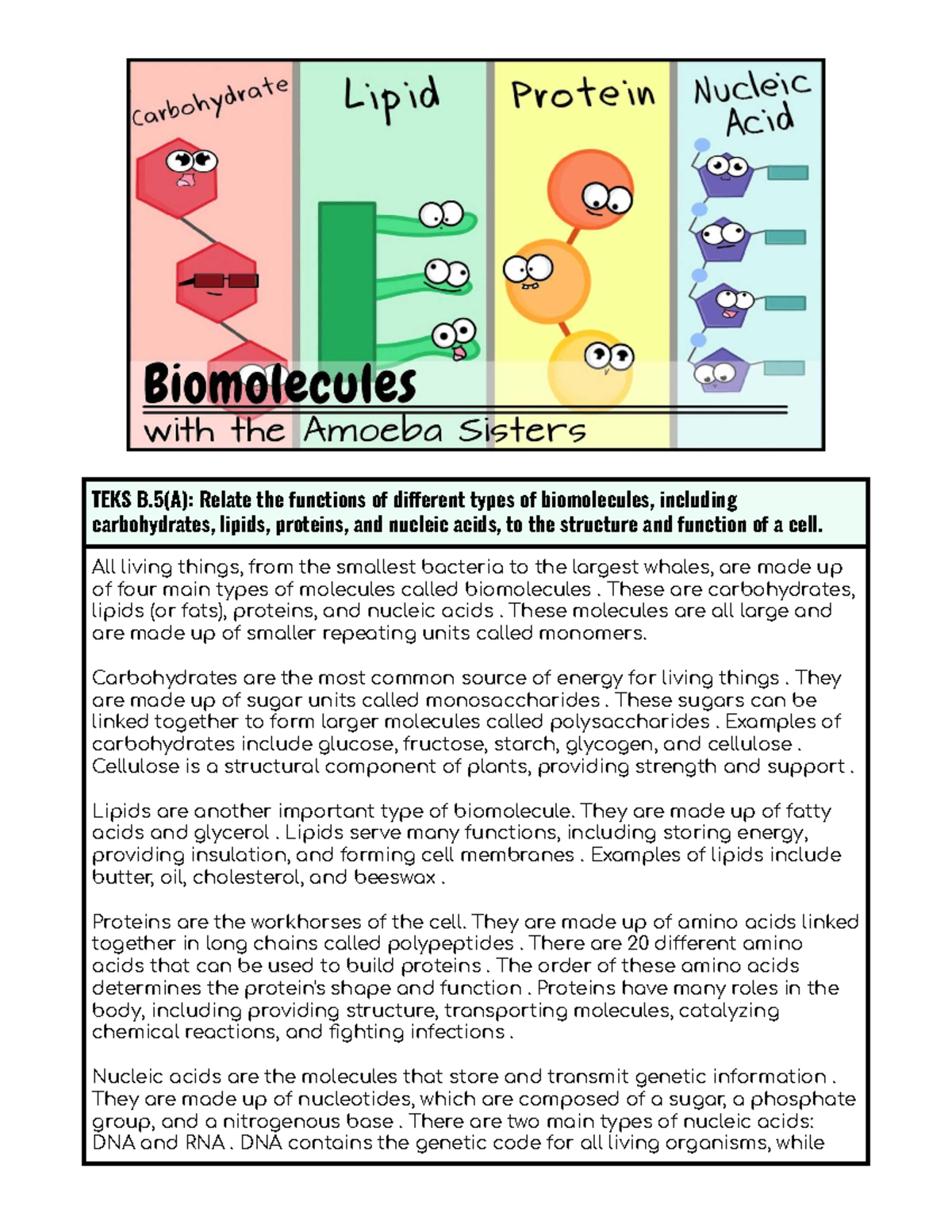 Diffit Biomolecules - TEKS B(A): Relate the functions of dierent types ...