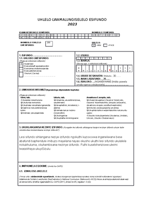 Lesson plan( Isizulu) - Uhlelo lwesifundo sesizulu - UHLELO ...