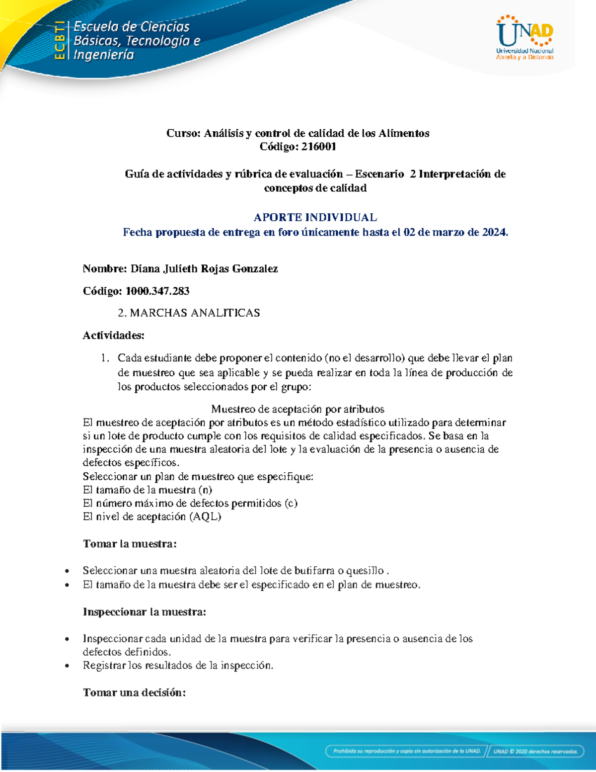 Formato T Individual E2 curso 216001 Diana Rojas - Curso: Análisis y ...