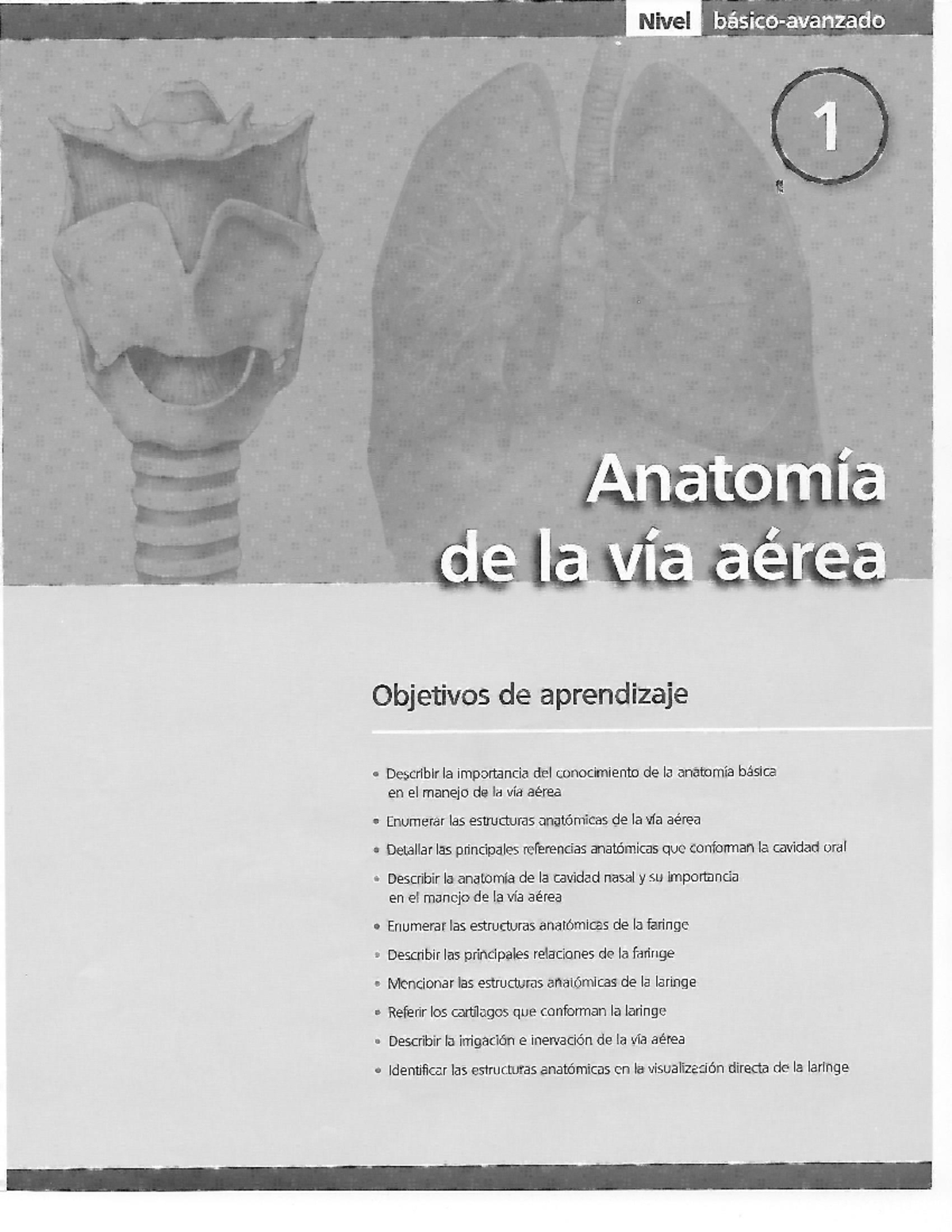 Anatomia de la Vía Áerea - Fisiología - UAZ - Studocu