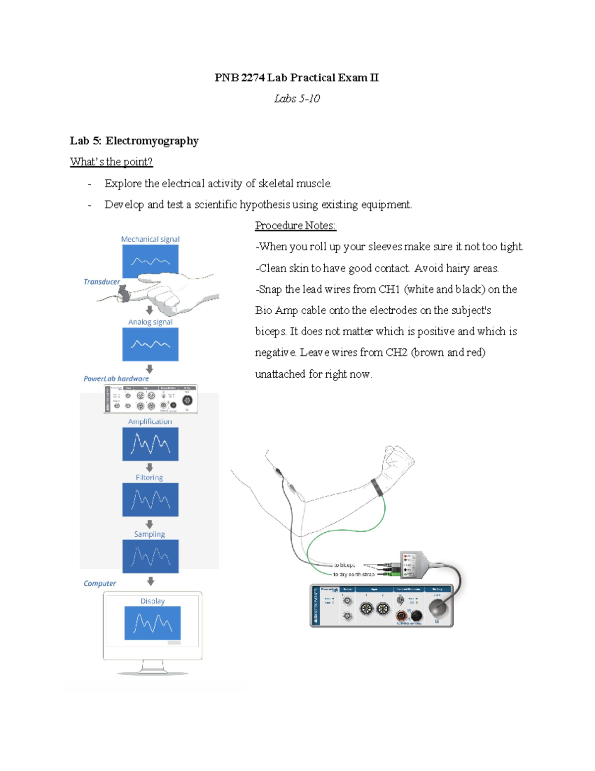 Practical Exam II Study Guide - PNB 2274 Lab Practical Exam II Labs 5 ...