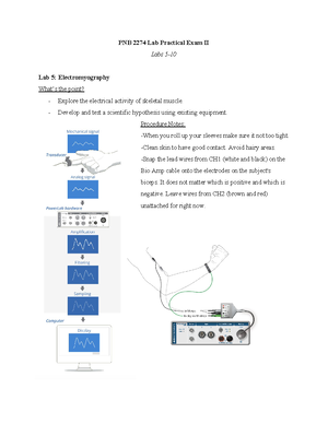 Muscle Anatomy Pt 1- exam 2 - PNB 2274 Enhanced Physiology & Anatomy ...