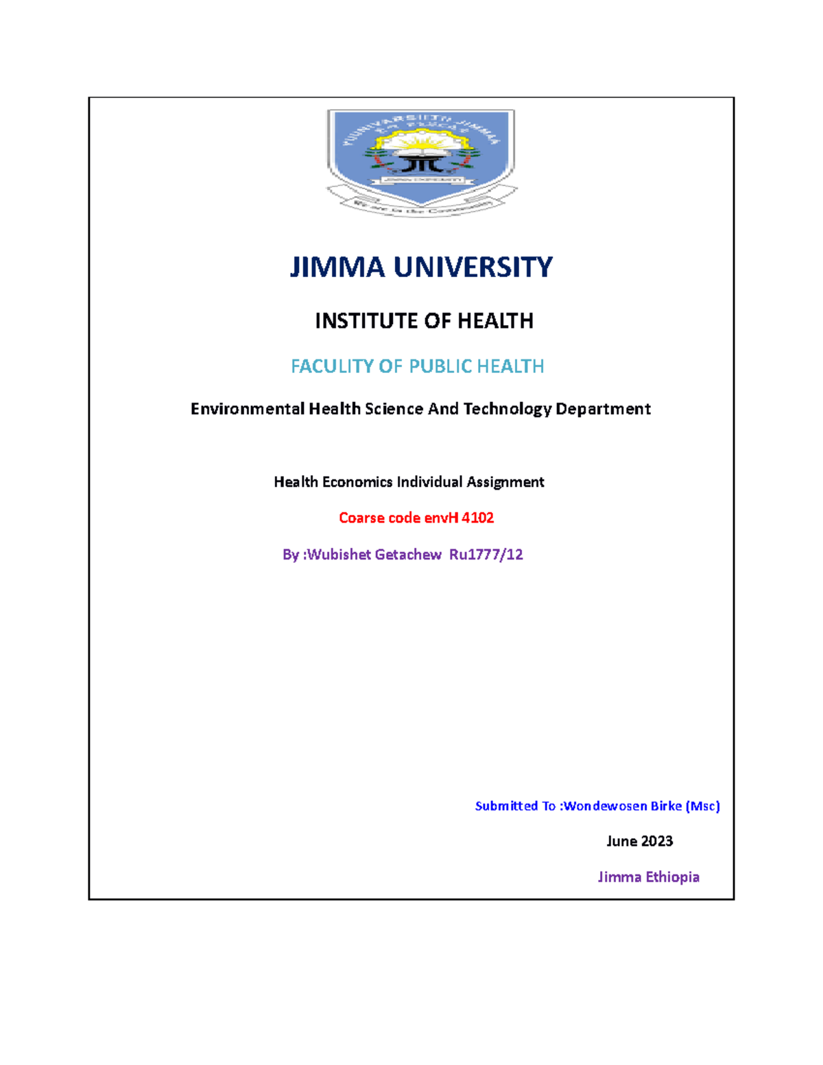 Wubishet HE doc - rvgsw - JIMMA UNIVERSITY INSTITUTE OF HEALTH FACULITY ...