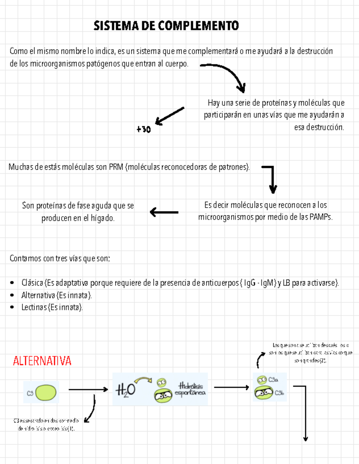 Sistema del Complemento - ALTERNATIVA SISTEMA DE COMPLEMENTO Como el ...
