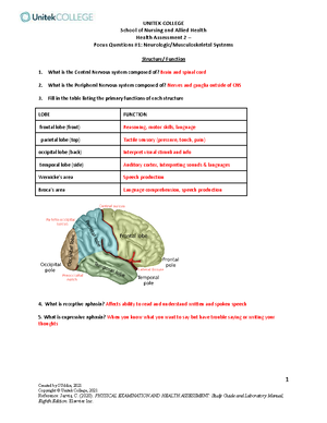ATI Restraints - ACTIVE LEARNING TEMPLATES THERAPEUTIC PROCEDURE A ...