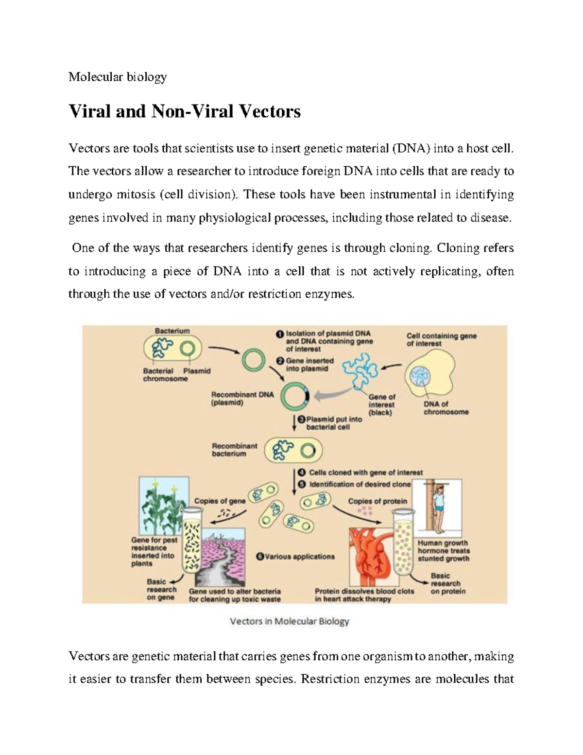 Viral and Non-Viral Vectors - Molecular biology Viral and Non-Viral ...