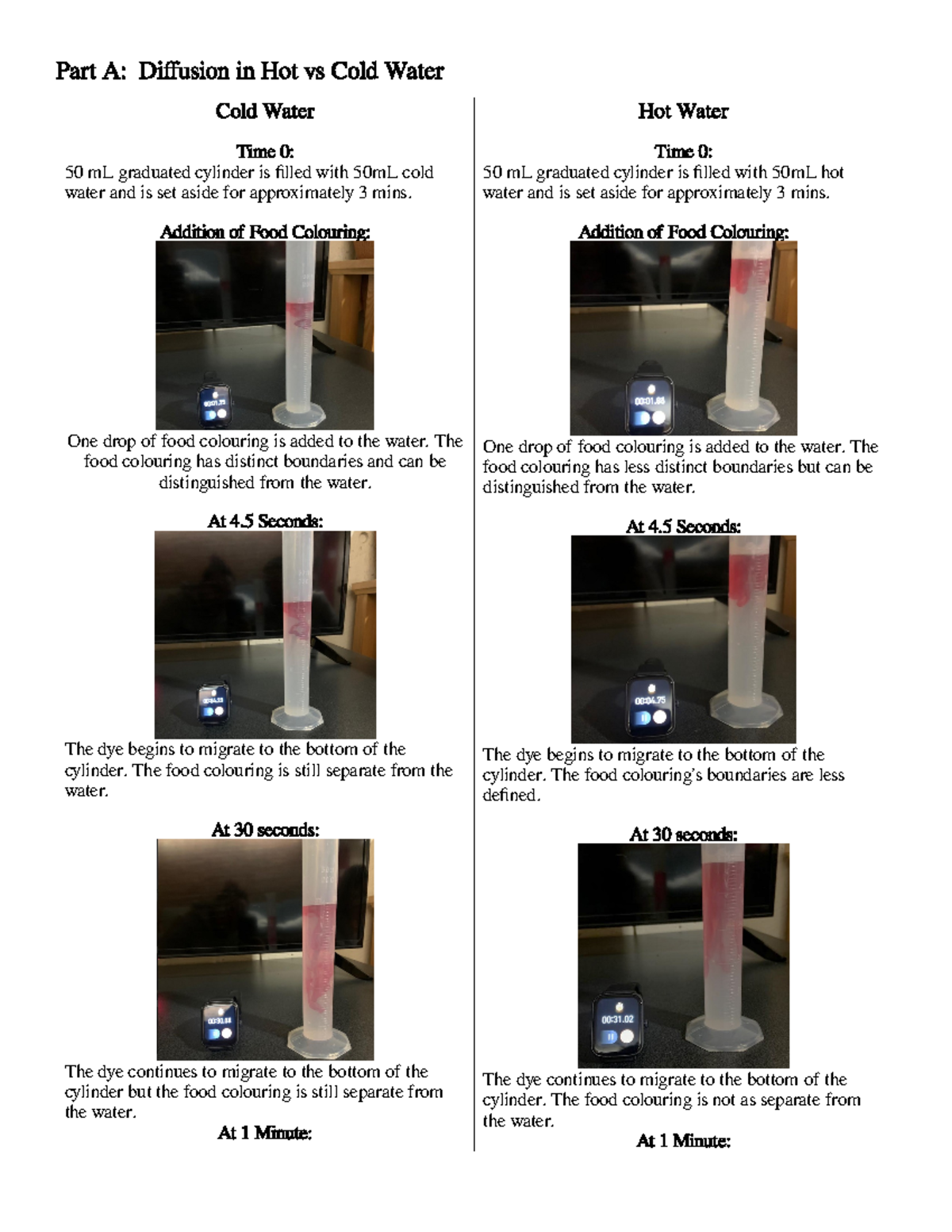 Physics Lab 5 - lab 5 - Part A: Diffusion in Hot vs Cold Water Cold ...
