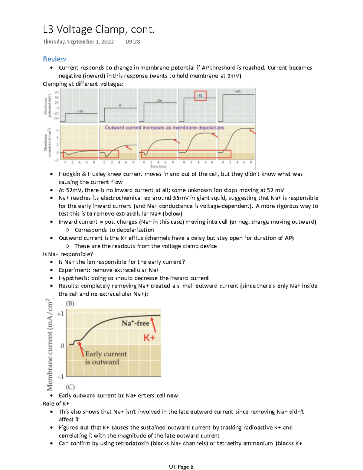 Lecture 3 Voltage Clamp Experiments, continued - Review Current ...