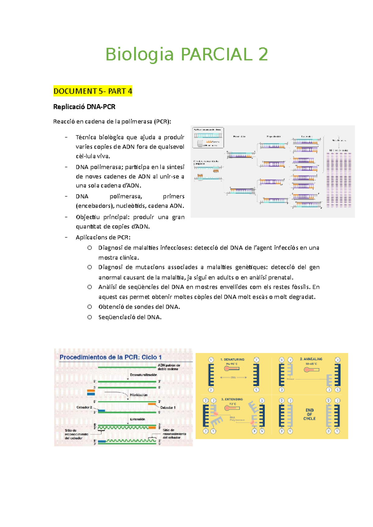 Bio parcial 2 - Biologia PARCIAL 2 DOCUMENT 5- PART 4 Replicació DNA-PCR Reacció en cadena de la ...