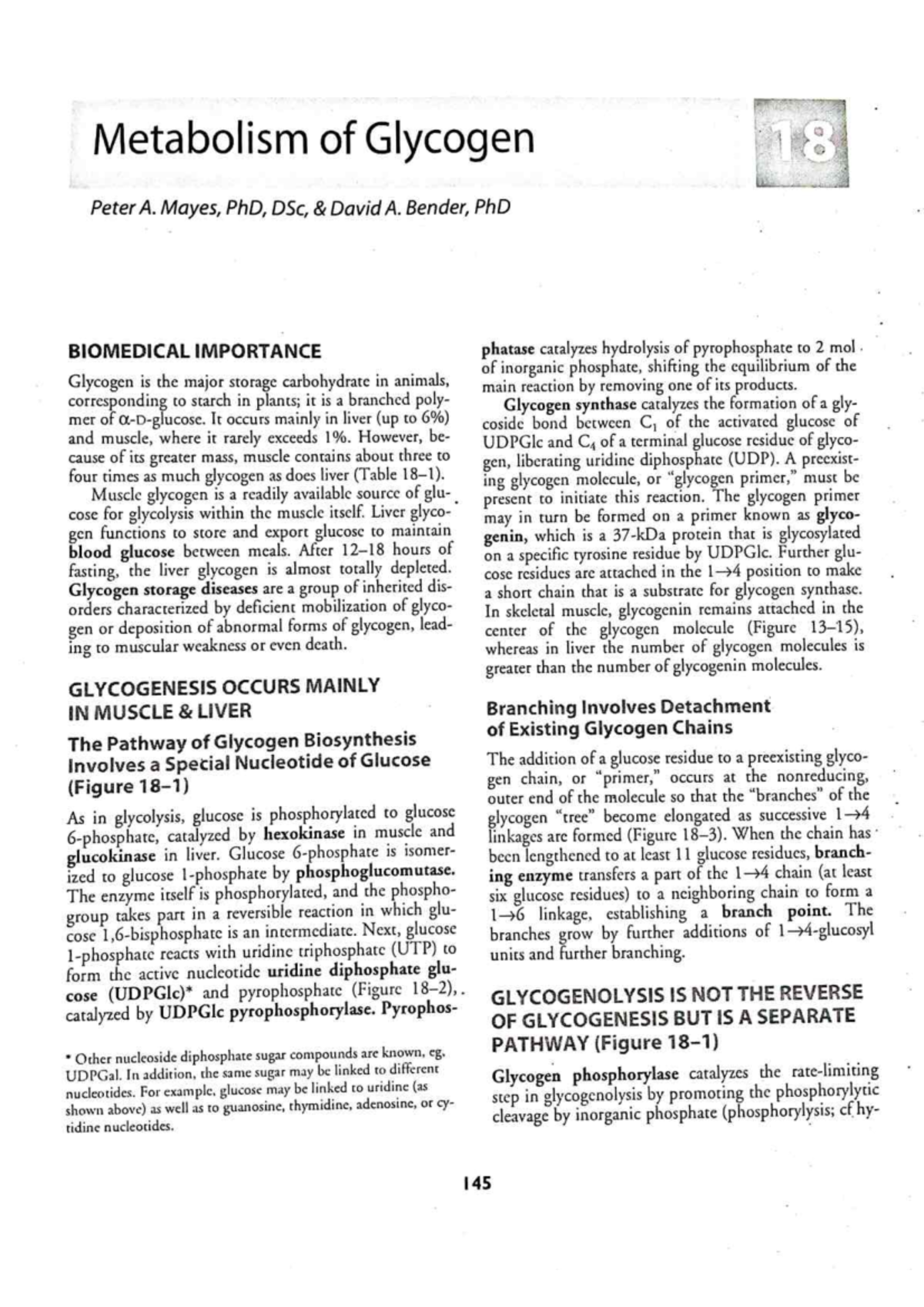 Metabolism of Glycogen - Biochemistry - Studocu