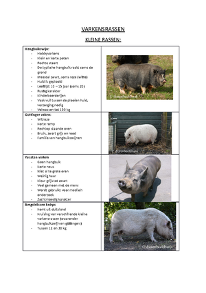 Rassenleer eigenschappen hondenrassen groep 3 en groep 4 ...