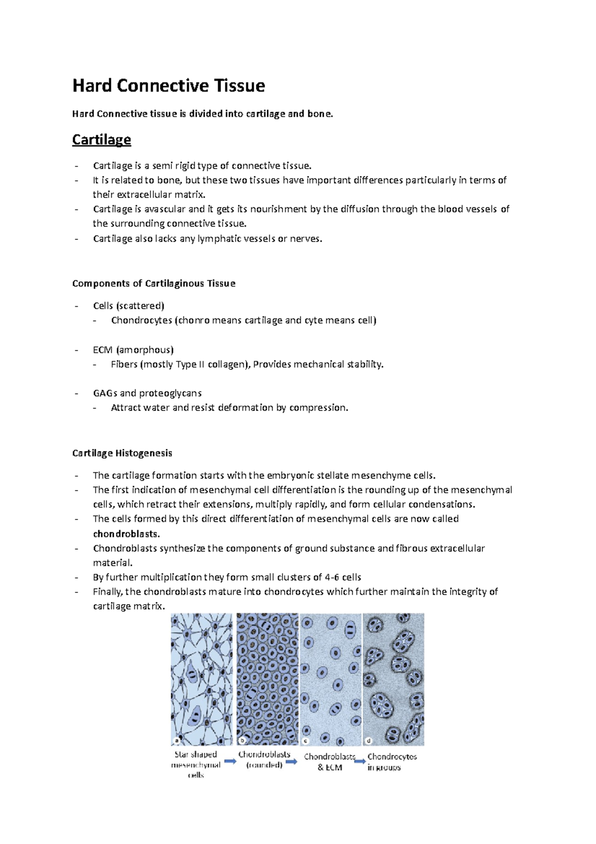 WEEK 4 - Hard Connective Tissue - Hard Connective Tissue Hard ...