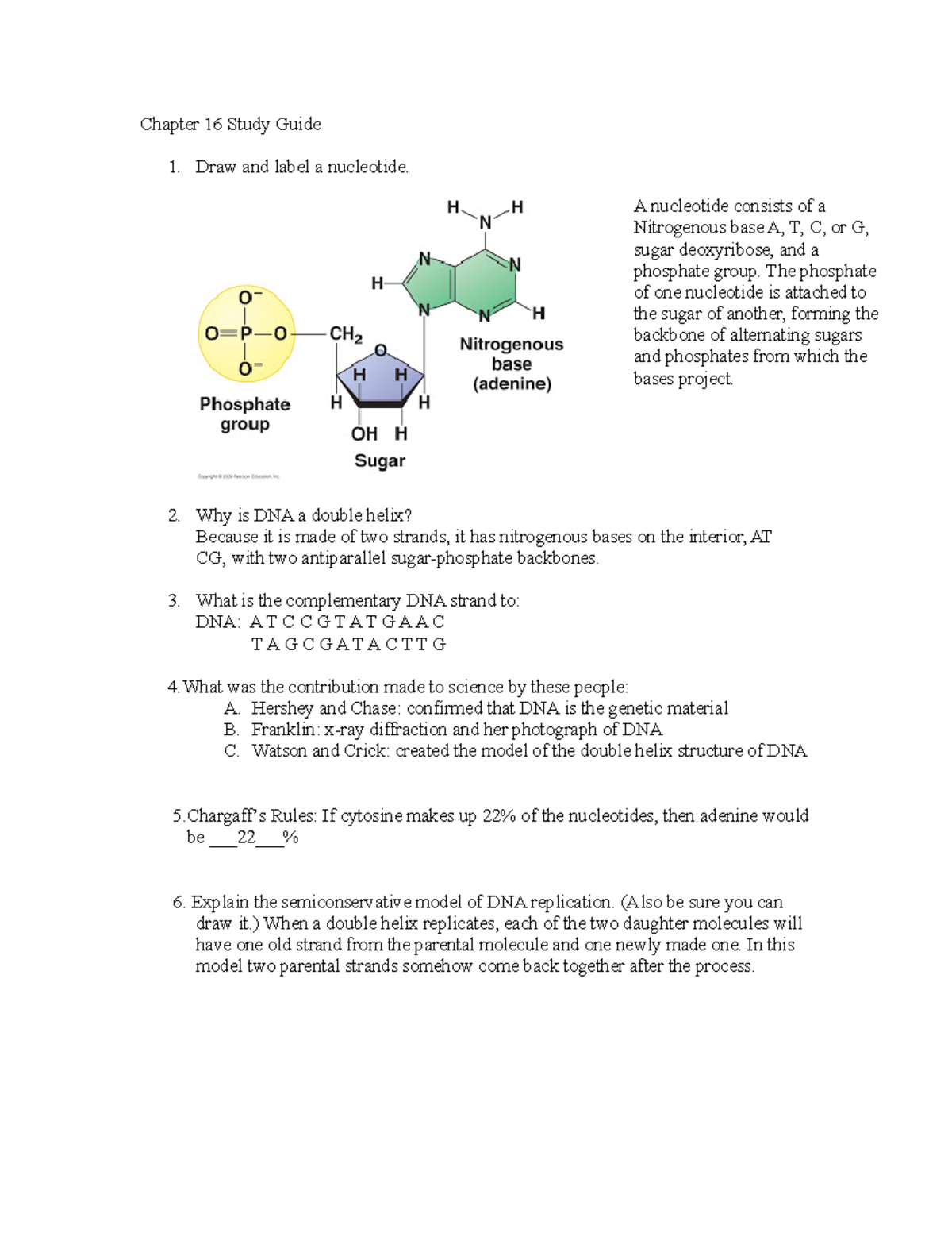 Chapter 16 Study Guide - Chapter 16 Study Guide Draw and label a ...