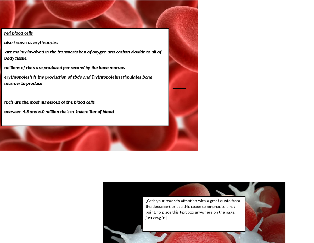 Blood cells 2 - red blood cells also known as erythrocytes are mainly ...
